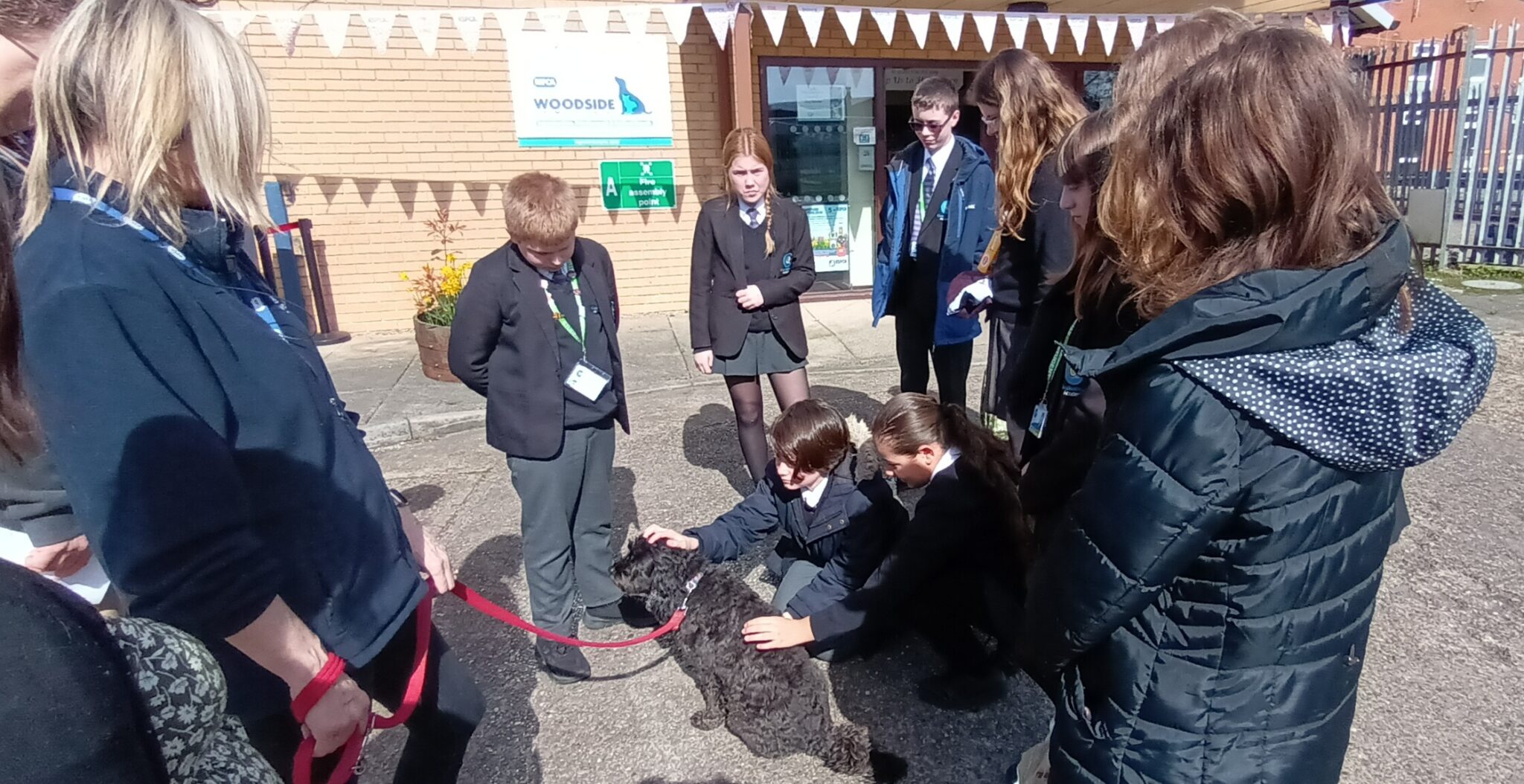 Year 8 Students at Countesthorpe Academy Make a Difference with RSPCA ...